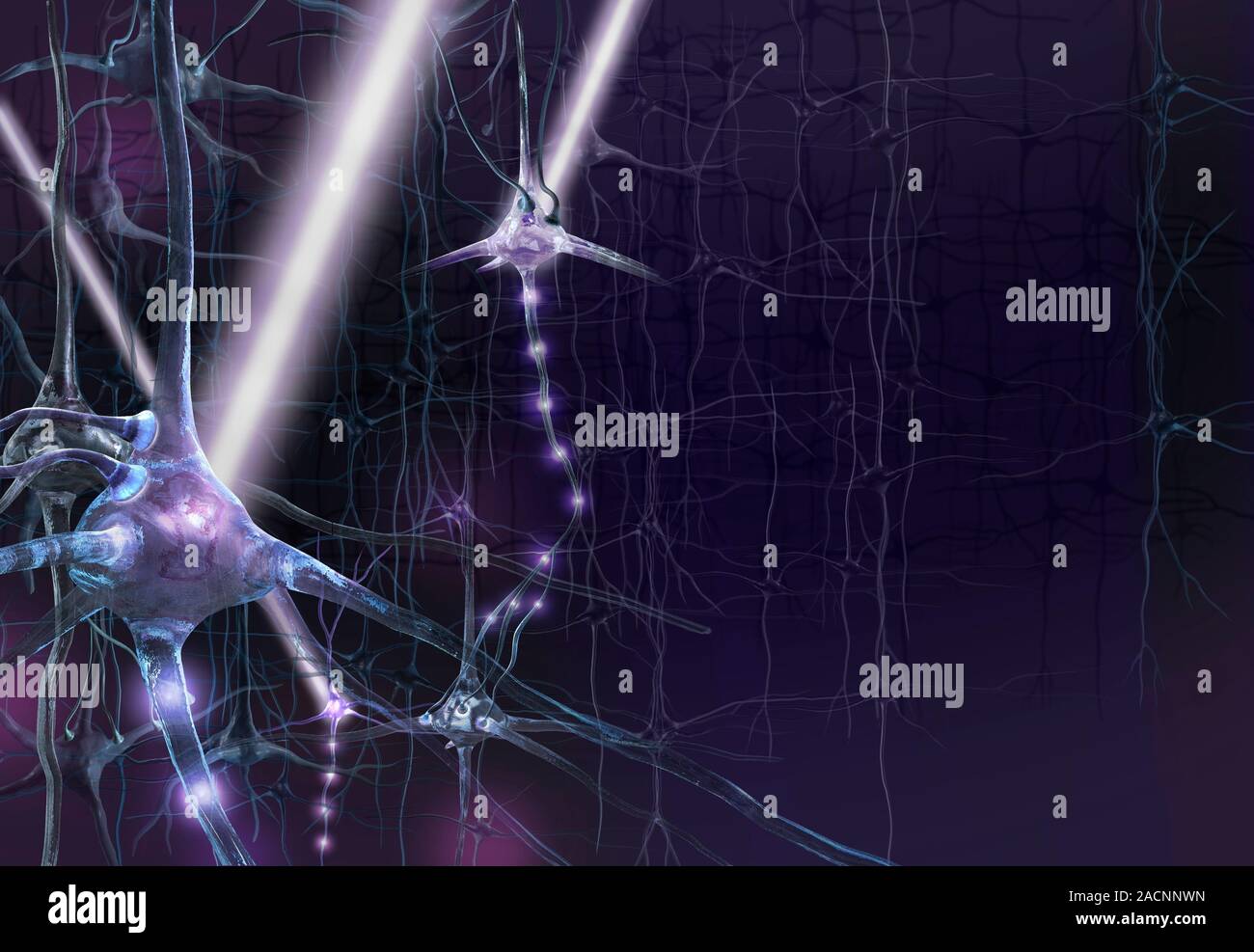Optogenetics, conceptual artwork. Optogenetics is the integration of ...