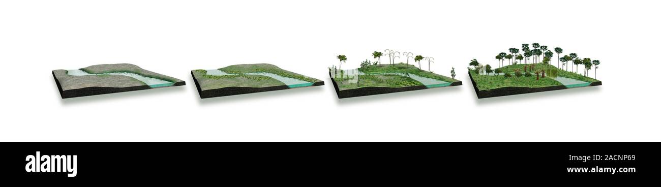 Plant evolutionary history. Artwork showing the stages in the evolution ...