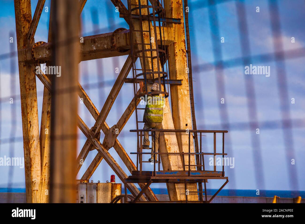 Crane climbing hi-res stock photography and images - Alamy