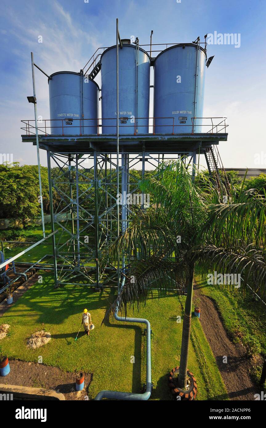 Palm oil factory. Storage tanks at an oil palm (Elaeis guineensis ...