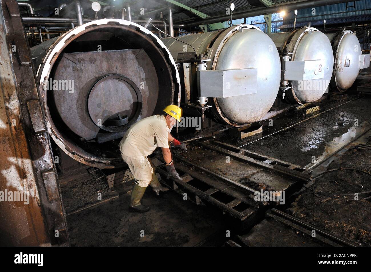 Palm oil factory. Worker at an oil palm (Elaeis guineensis) processing ...