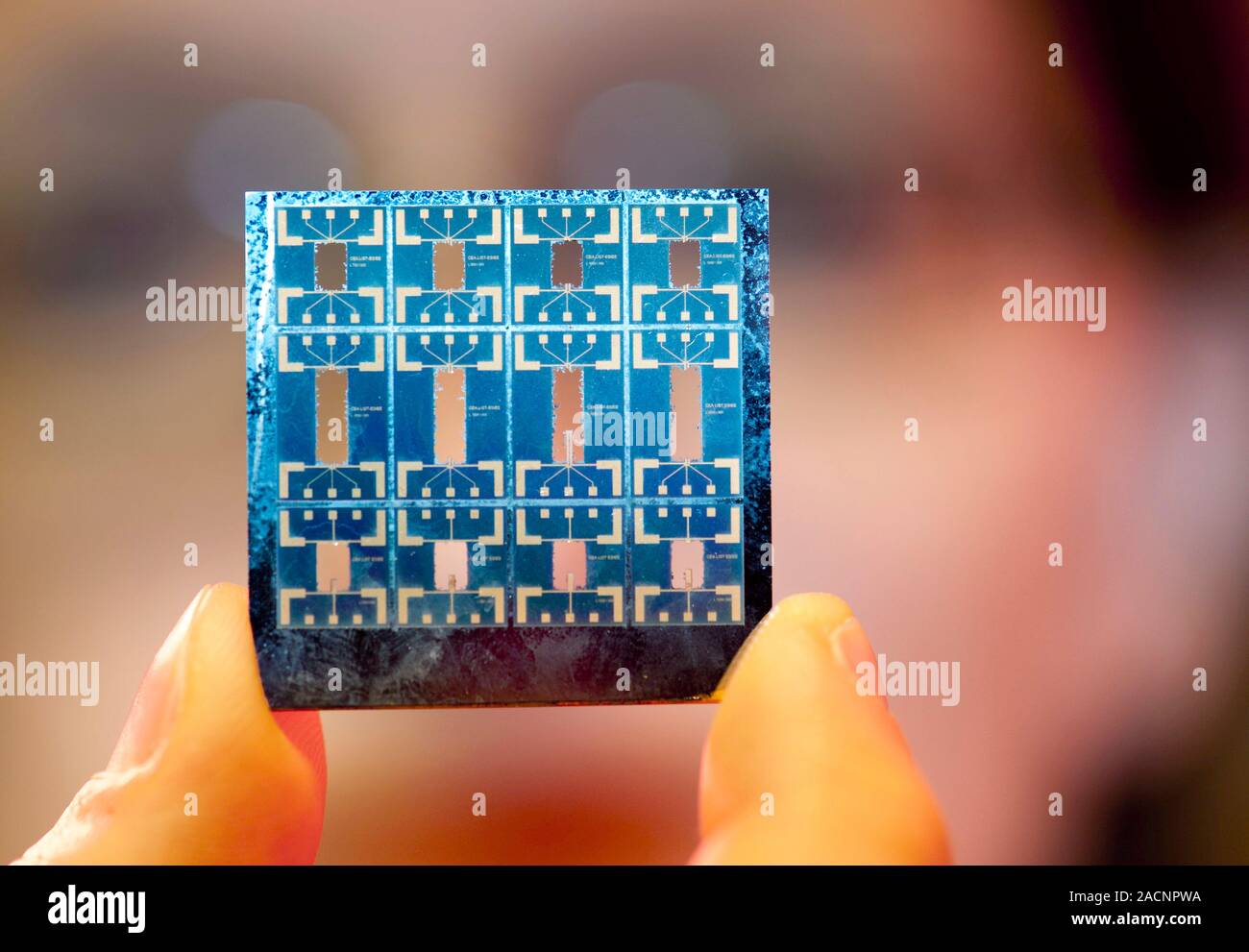 Manufacture of artificial retinas. Technician holding an ... Manufacture of artificial retinas. Technician holding an ...