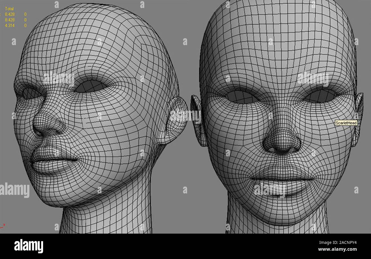3D virtual avatar construction. Partially complete 3D computer persona ...