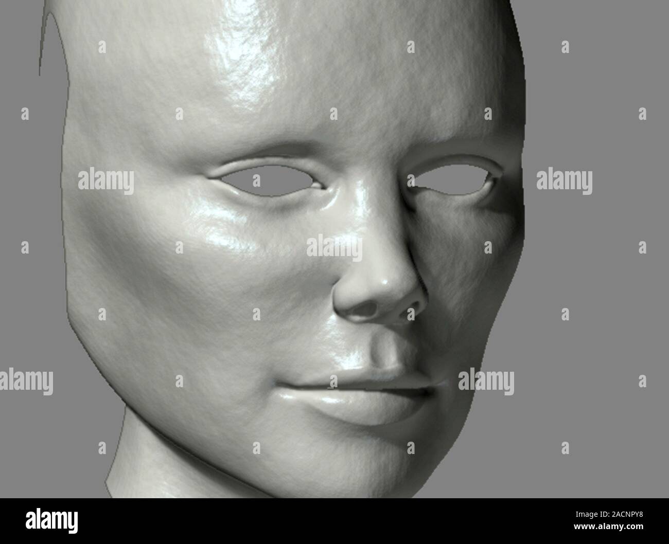 3D virtual avatar construction. Partially complete 3D computer ...