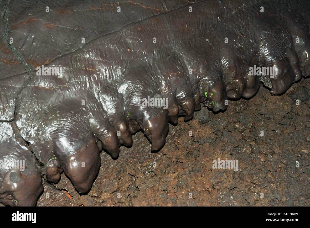 Solidified lava flow. Close-up of an ancient lava flow on Reunion ...