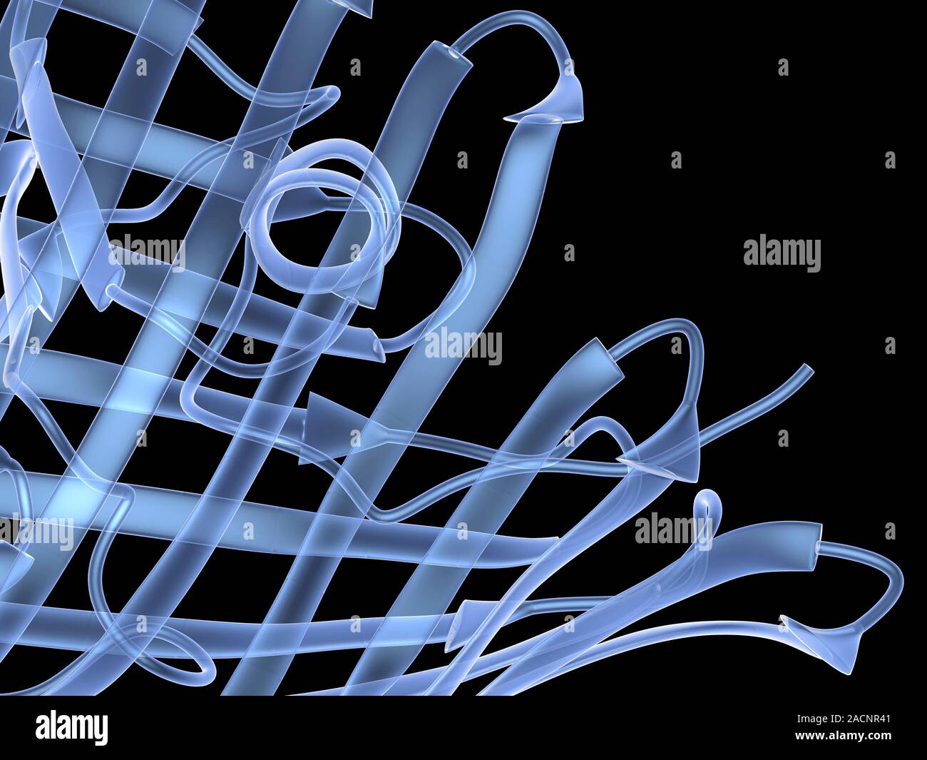 Bacterial outer membrane protein molecule. Computer model showing a ...