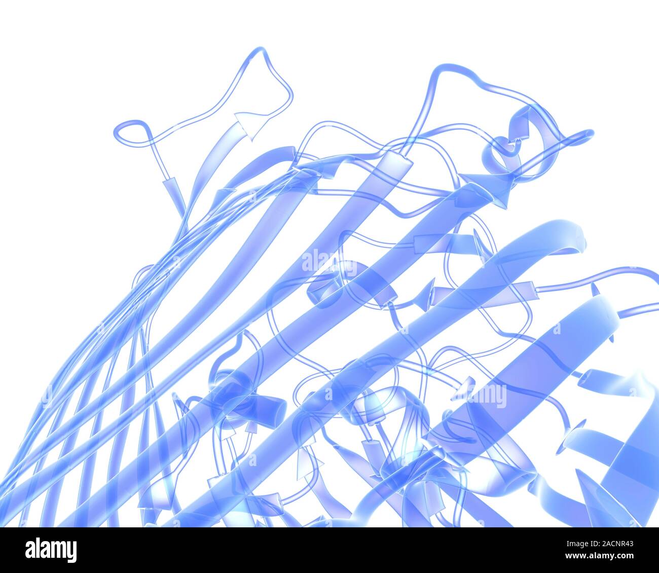 Bacterial Outer Membrane Protein Molecule Computer Model Showing A Part Of The Secondary