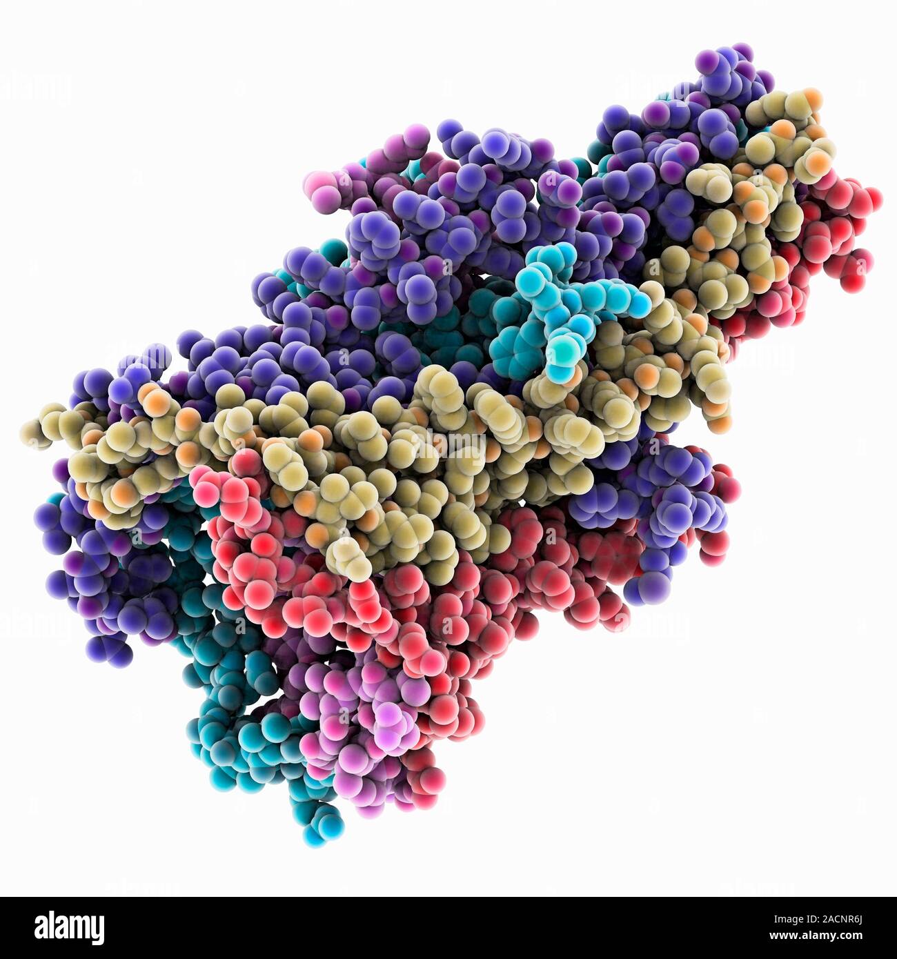 MscL ion channel protein structure. Molecular model showing the protein ...