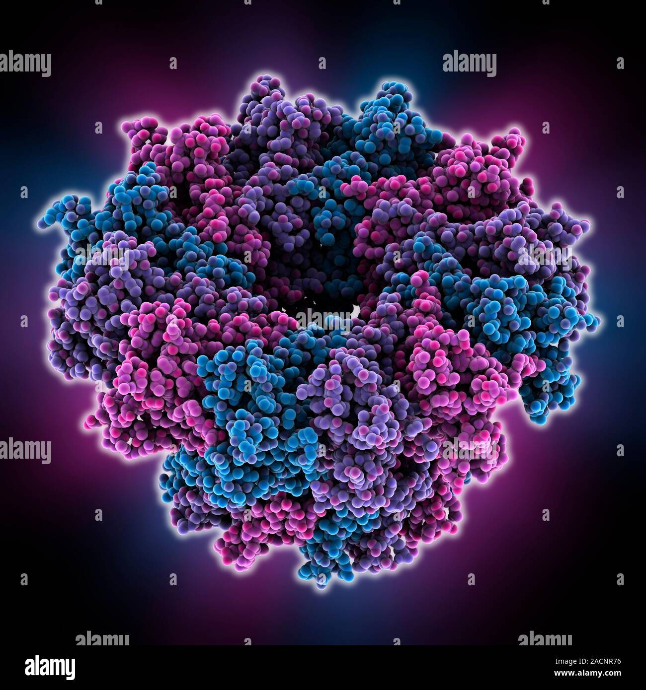 Bacteriophage Portal Protein Molecular Model Showing The Structure Of A Bacteriophage Portal