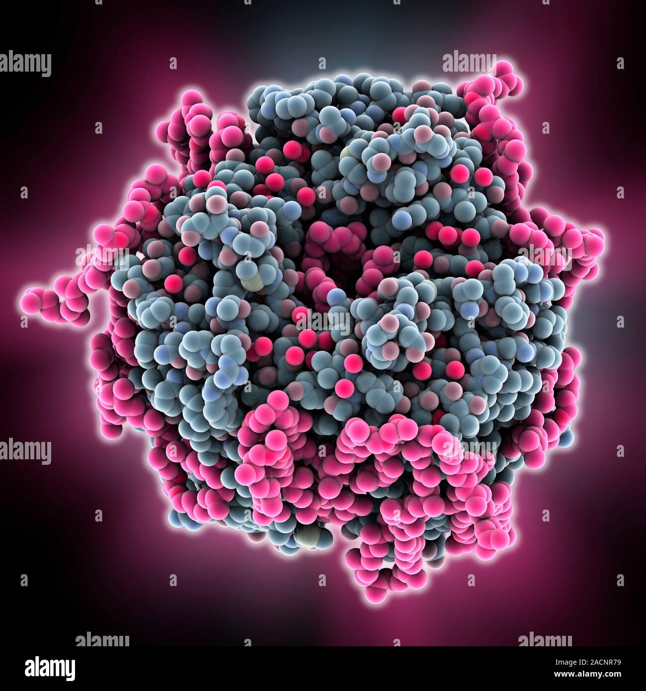 Bacteriorhodopsin Protein Molecular Model Showing The Structure Of Bacteriorhodopsin Br A