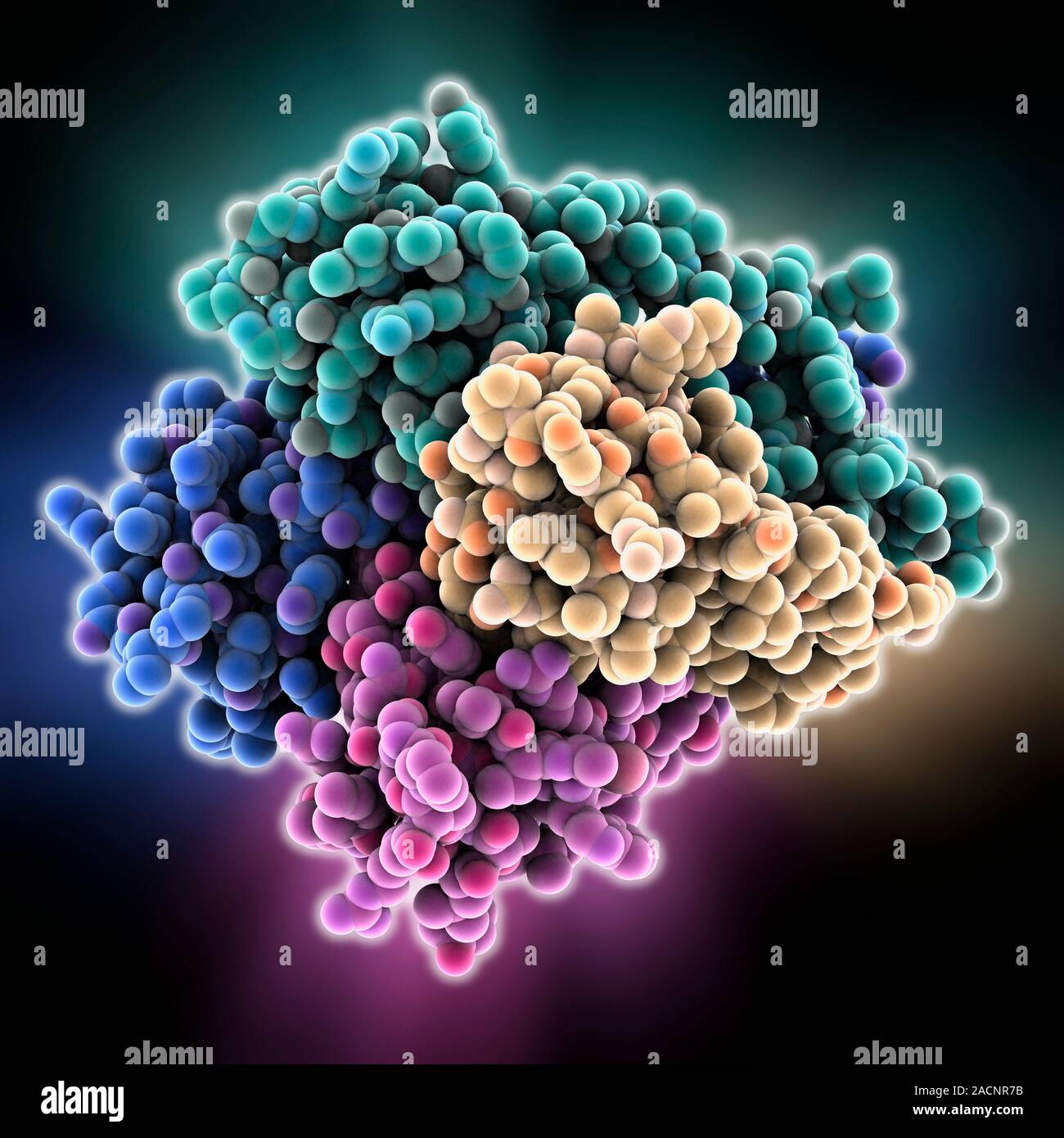 Potassium ion channel protein structure. Molecular model of a KcsA ...