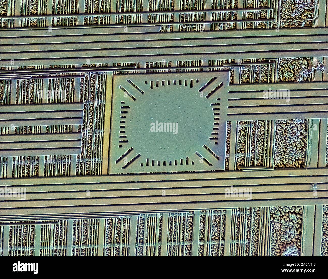 Microchip. Coloured scanning electron micrograph (SEM) showing ... Microchip. Coloured scanning electron micrograph (SEM) showing ...