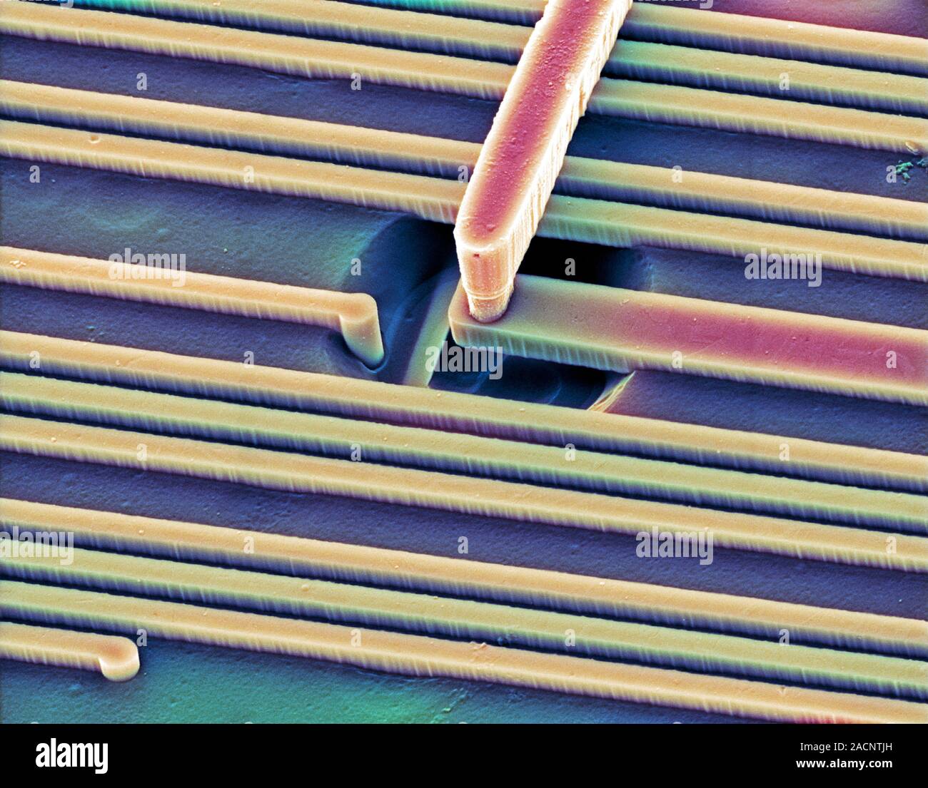 Microchip. Coloured scanning electron micrograph (SEM) showing ... Microchip. Coloured scanning electron micrograph (SEM) showing ...