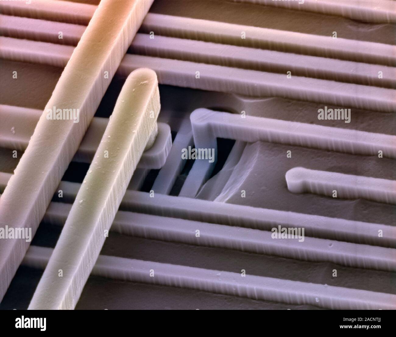 Microchip. Coloured scanning electron micrograph (SEM) showing ... Microchip. Coloured scanning electron micrograph (SEM) showing ...