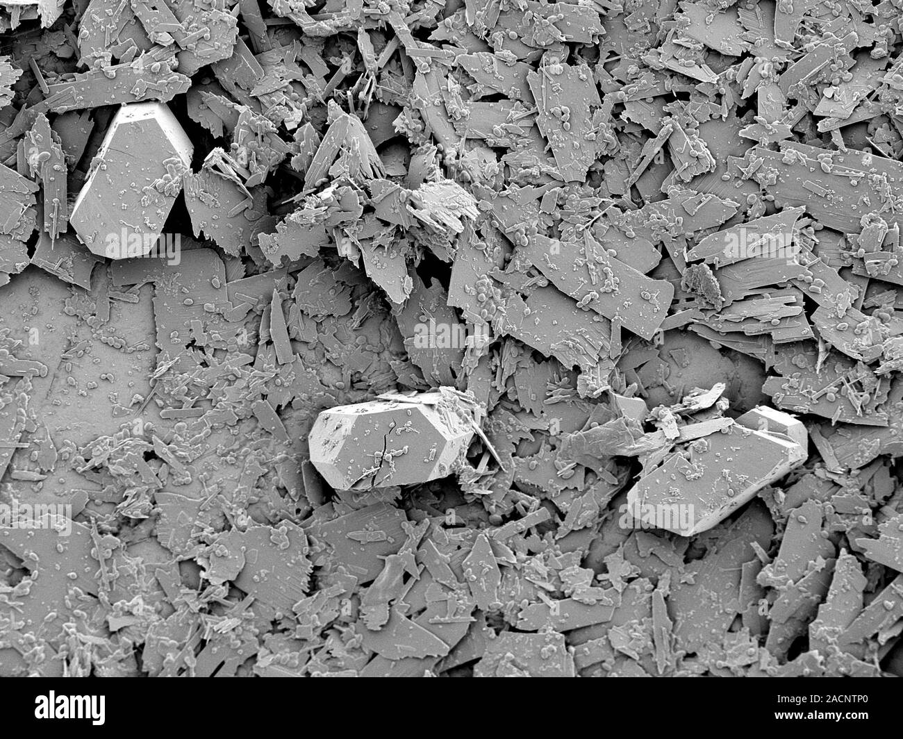 Cream of tartar crystals. Scanning electron micrograph of potassium ...
