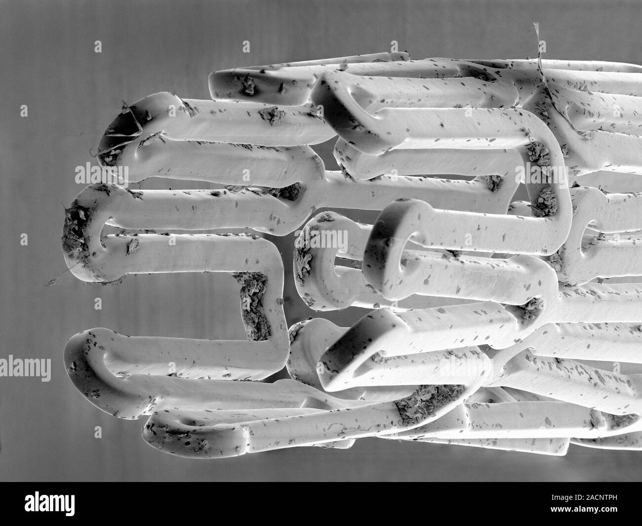 Stent. Coloured scanning electron micrograph (SEM) of a stent (wire ...