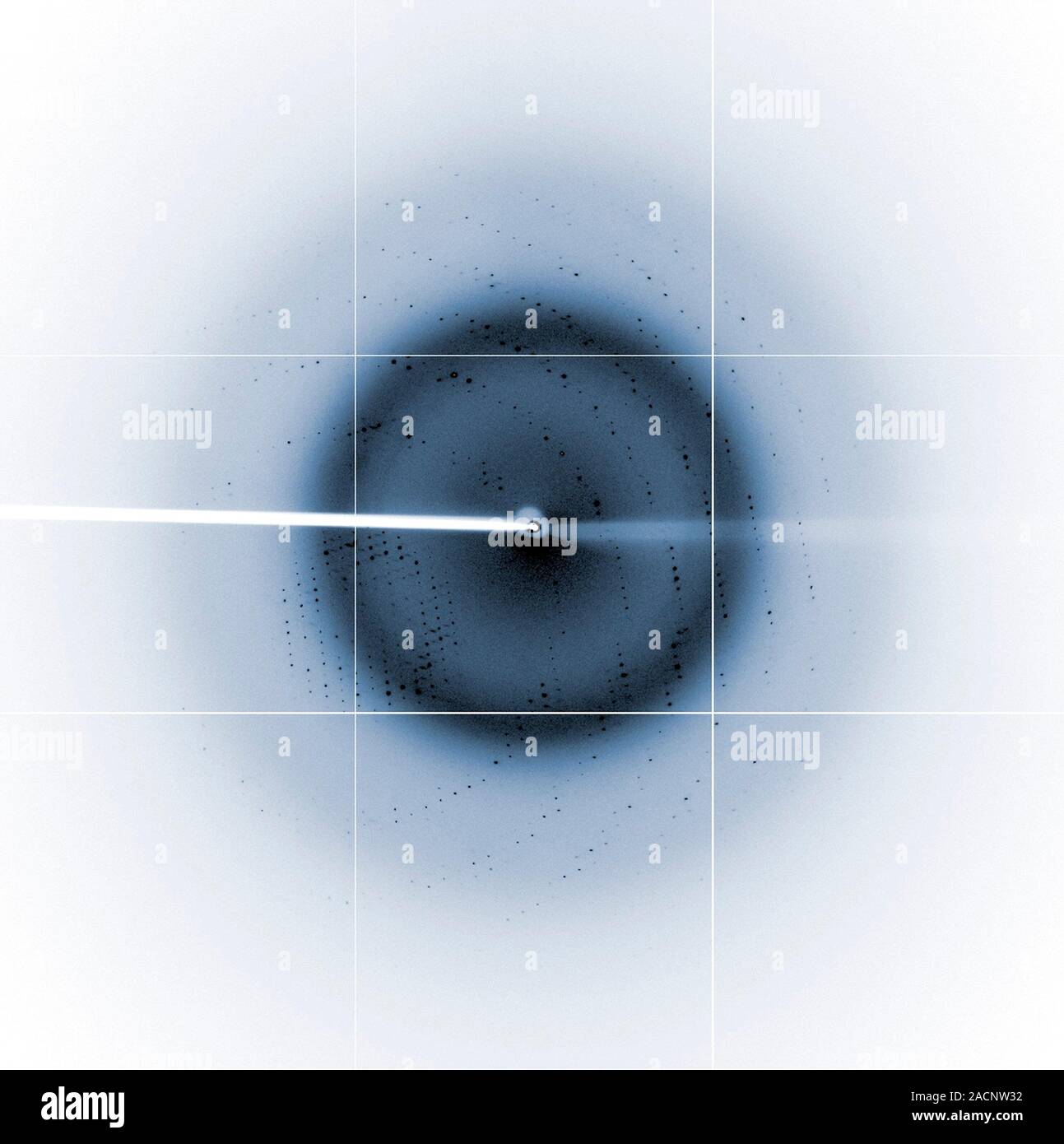 Chikungunya virus research. X-ray diffraction pattern of proteins from ...