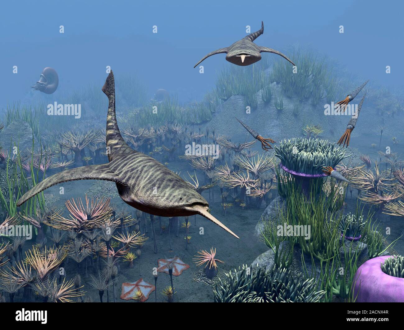 Devonian sea. Computer artwork of 8-inch-long (20 cm) Doryaspis sp. jaw ...