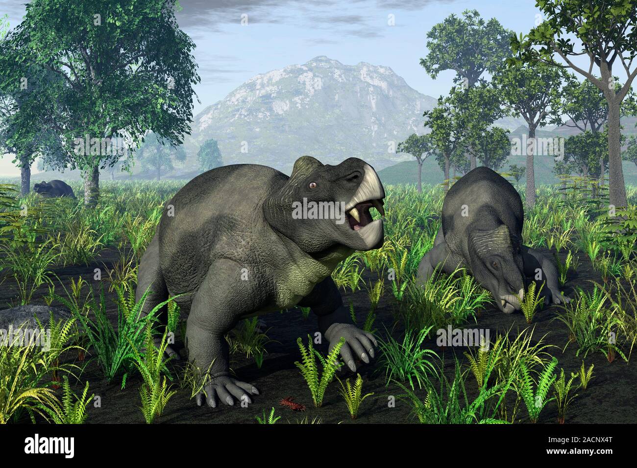 Kannemeyeria dicynodonts. Computer artwork of Kannemeyeria sp ...