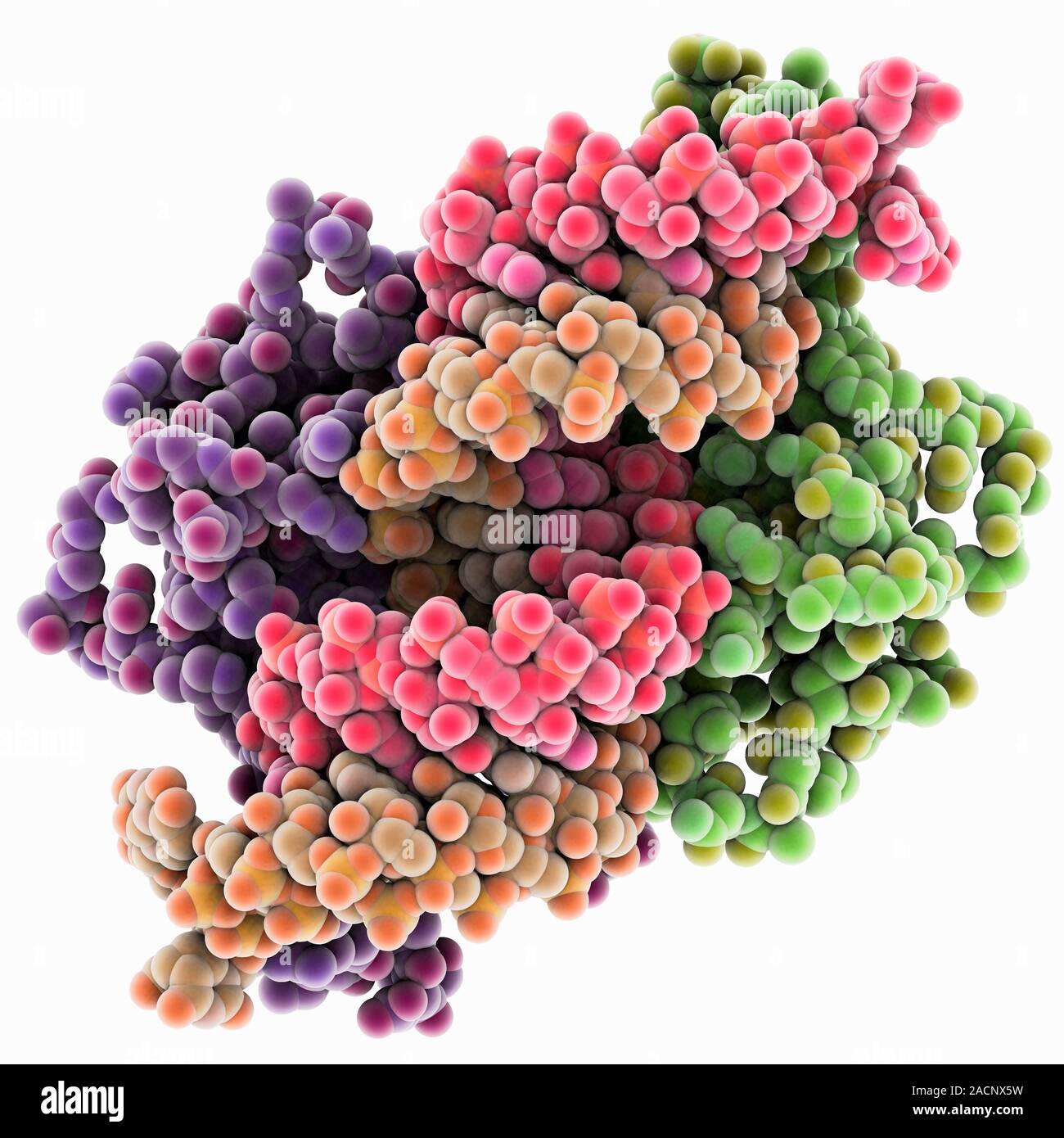 RNA interference viral suppressor and RNA. Computer model showing the ...