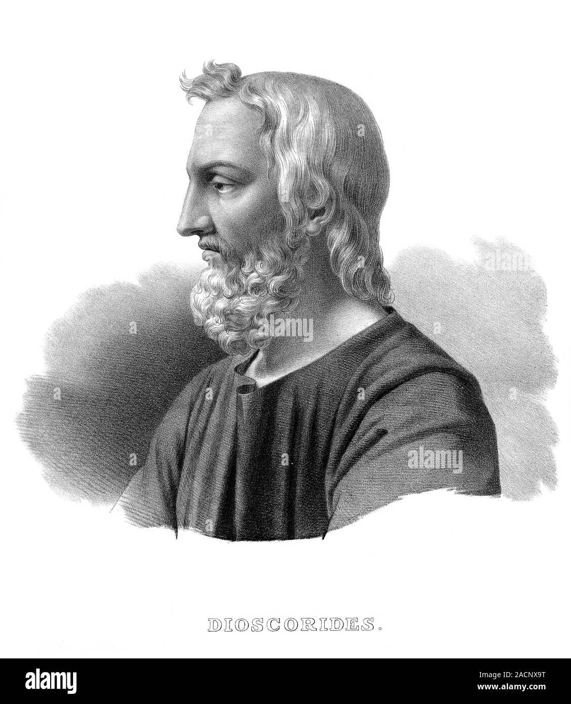 Pedanius Dioscorides, Ancient Greek physician. Dioscorides worked as a ...