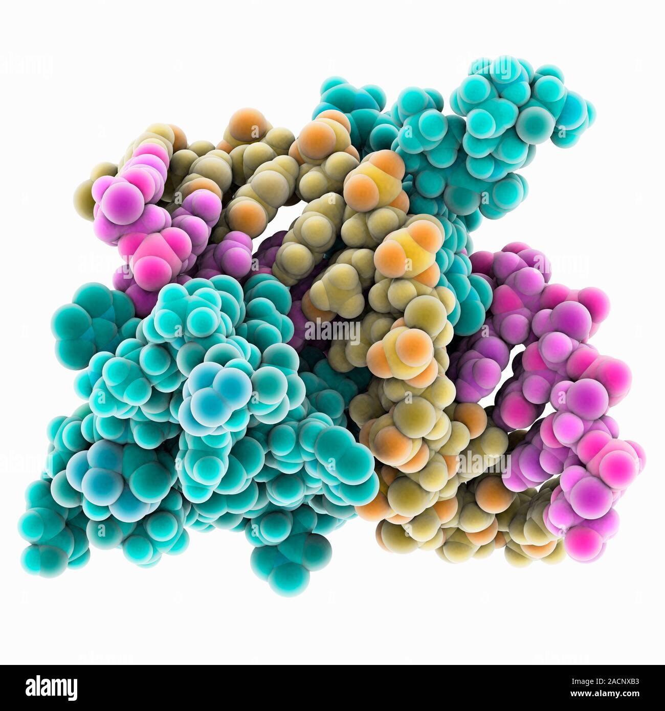 GAGA transcription factor. Molecular model of GAGA factor (turquoise ...