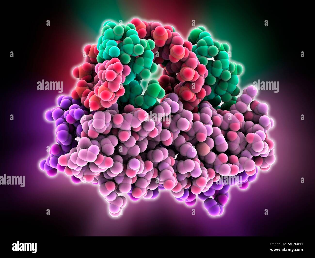 RNA interference viral suppressor and RNA. Computer model showing the ...