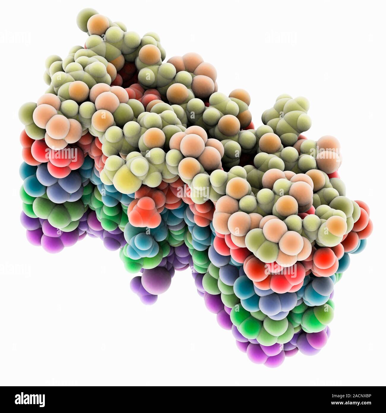 Amyloid beta protein. Molecular model showing the structure of amyloid ...