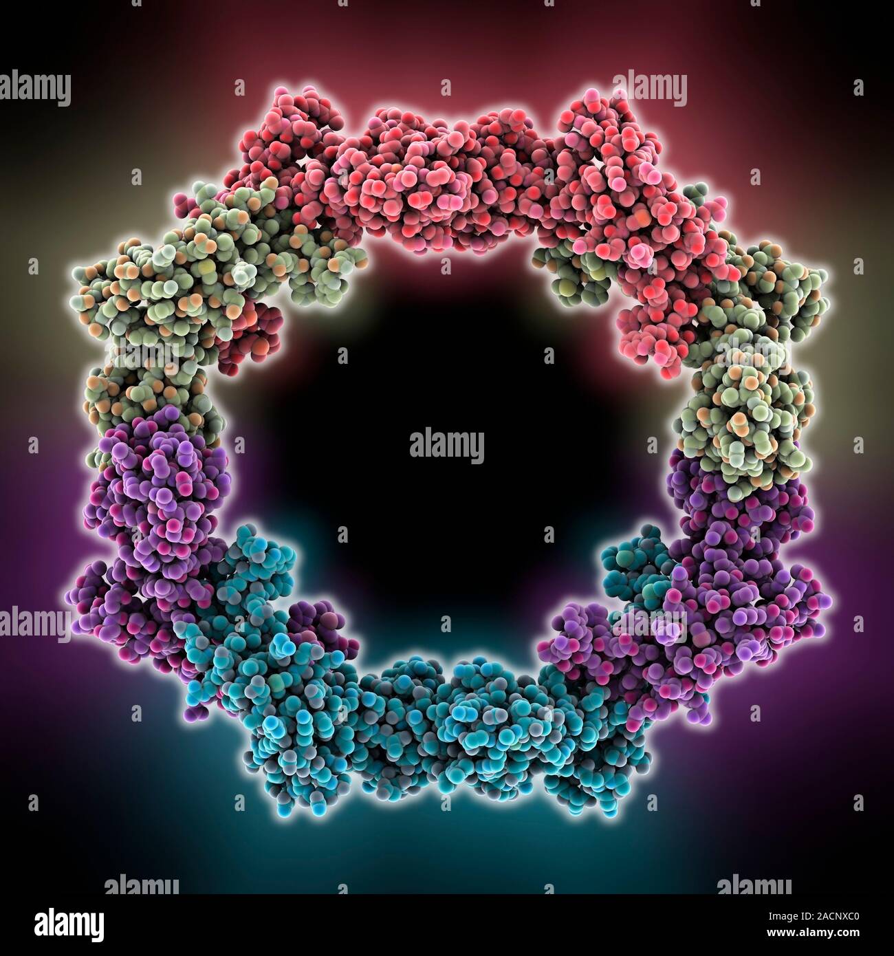 RNA interference viral suppressor molecule. Computer model showing the ...