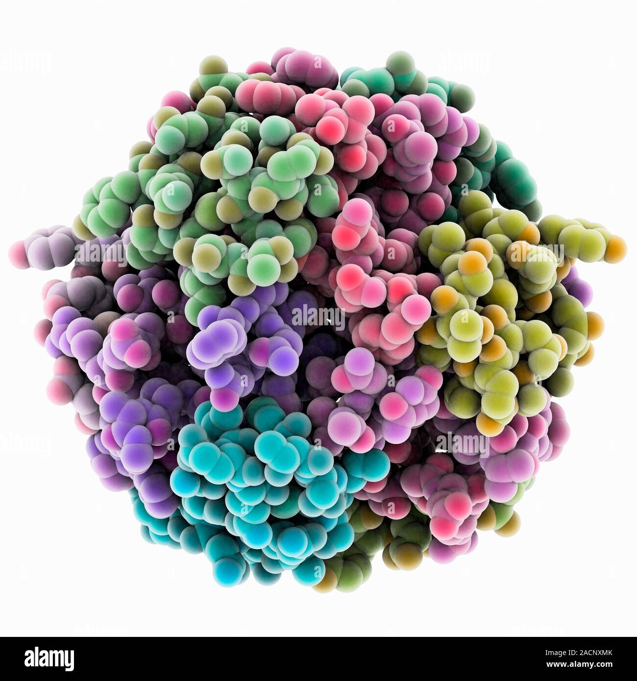 Insulin molecule. Computer model showing the structure of a molecule of ...