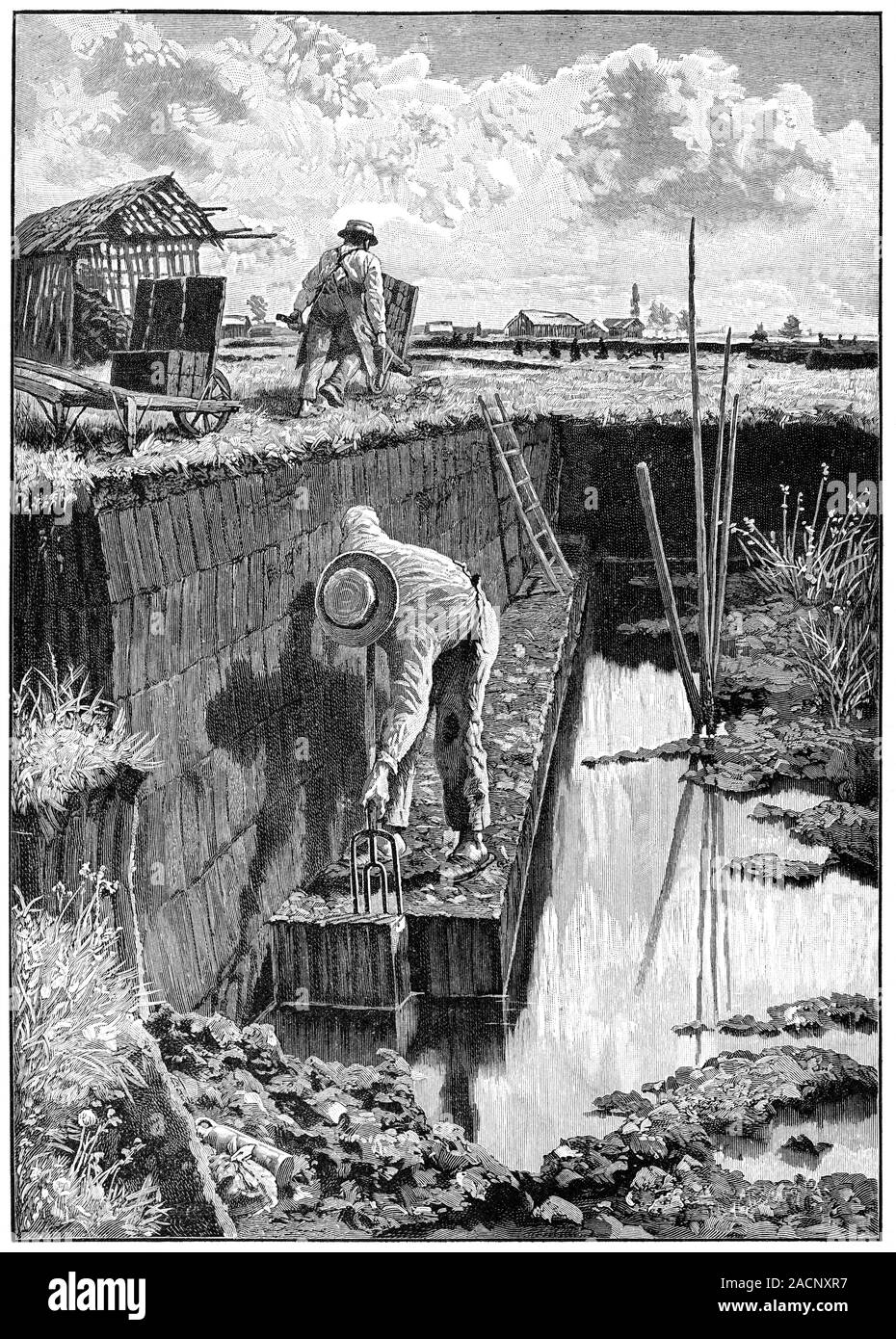 Workers excavating peat, historical artwork. Peat, a solid fuel dug ...