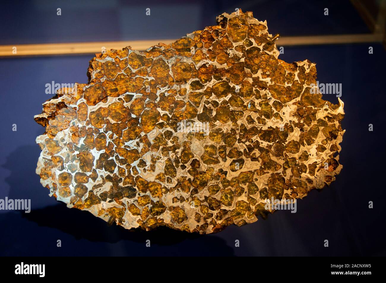 Stony-iron meteorite (Pallasite) displayed at California Science Center ...