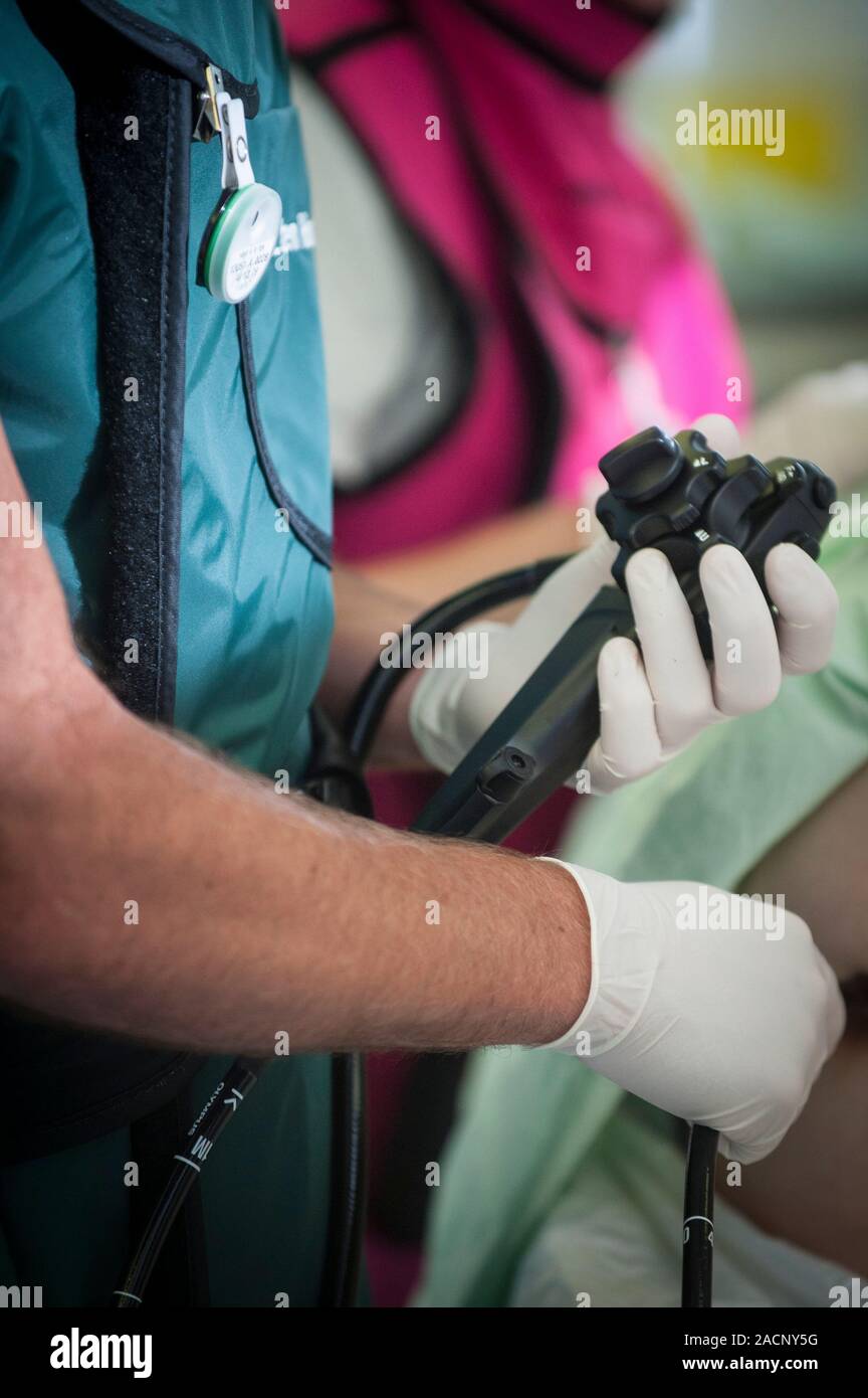 Colonoscopy. Doctor performing a colonoscopy on a patient. A ...