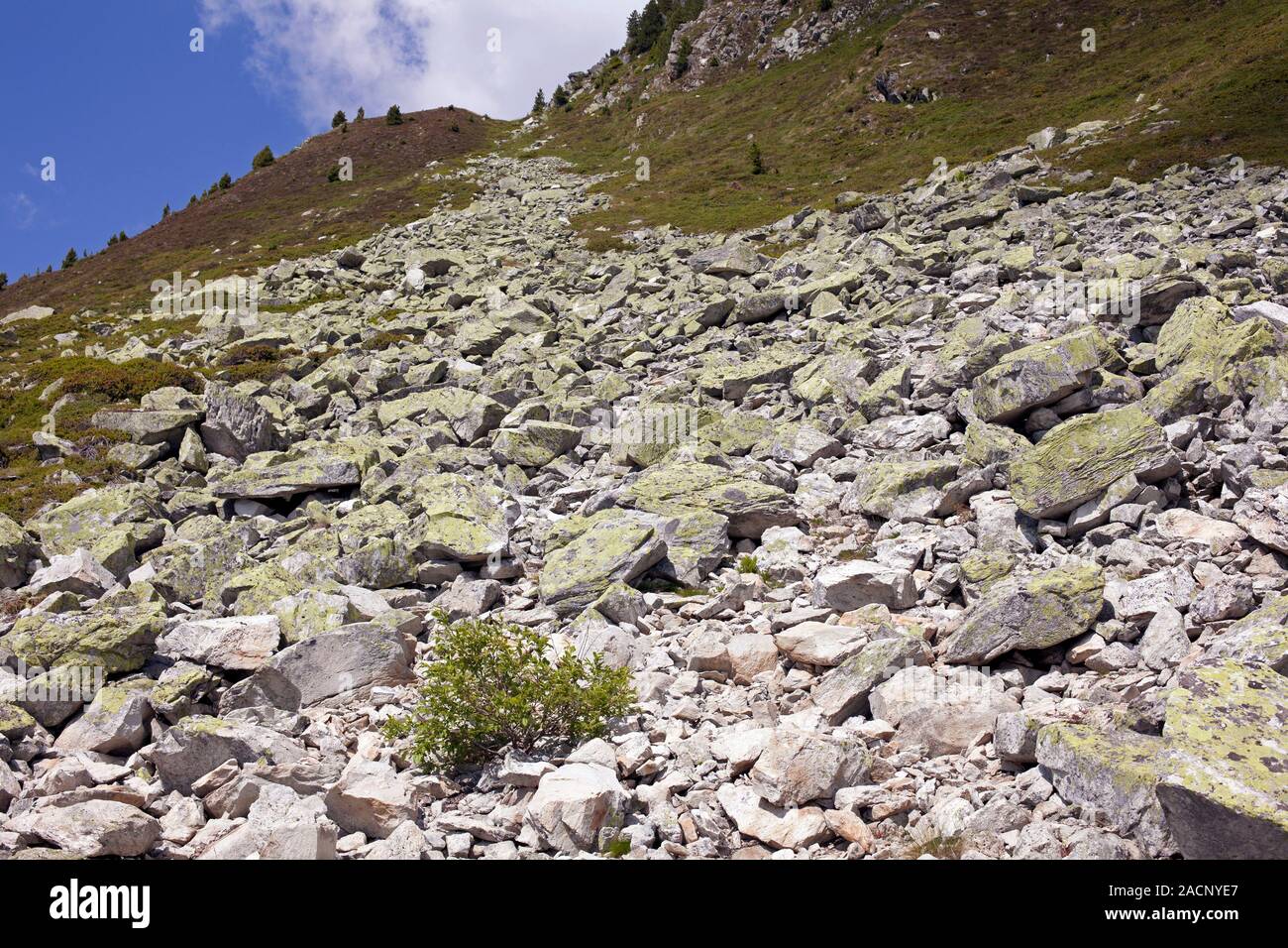 Scree slope. Scree(or talus) on a mountain slope. Scree is rock that ...
