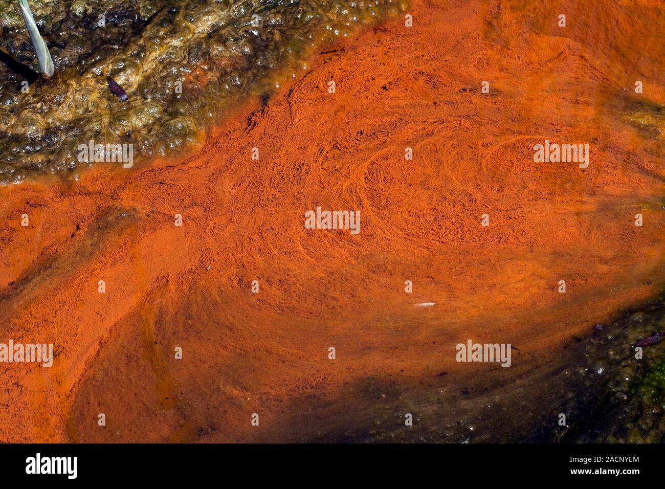 Iron oxide in a stream. Close-up of iron oxide (rust) powder ...