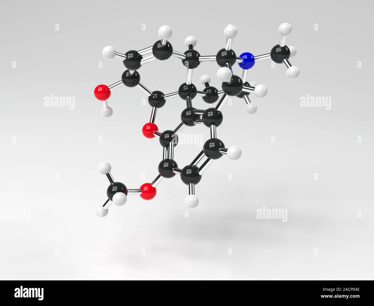 Codeine molecule. Computer artwork showing the structure of a molecule ...