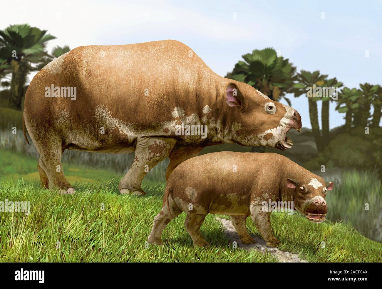 Toxodon, extinct mammal. Artwork of Toxodon (Toxodon platensis), a ...