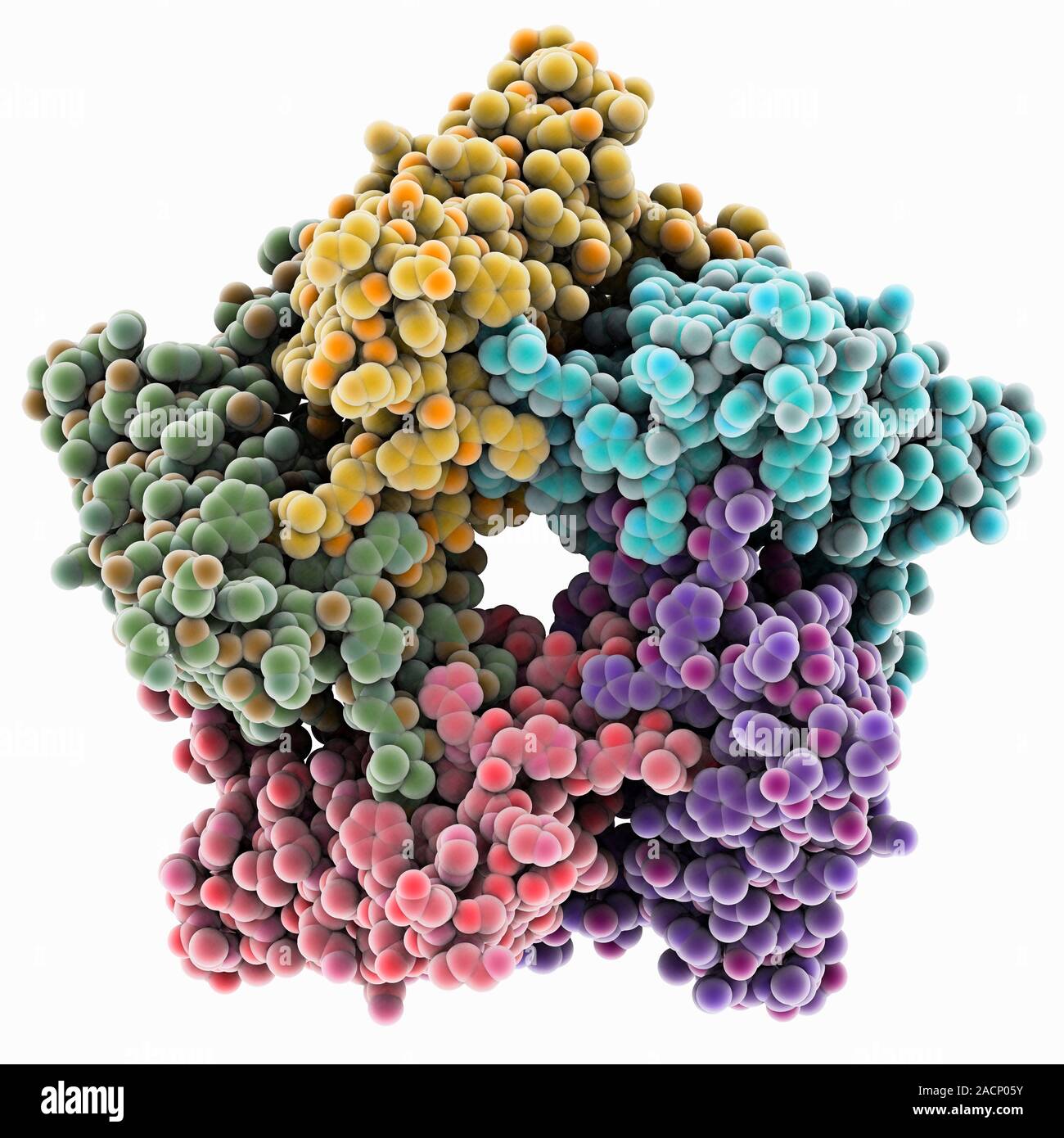 Lumazine synthase molecule. Computer model showing the structure of a ...