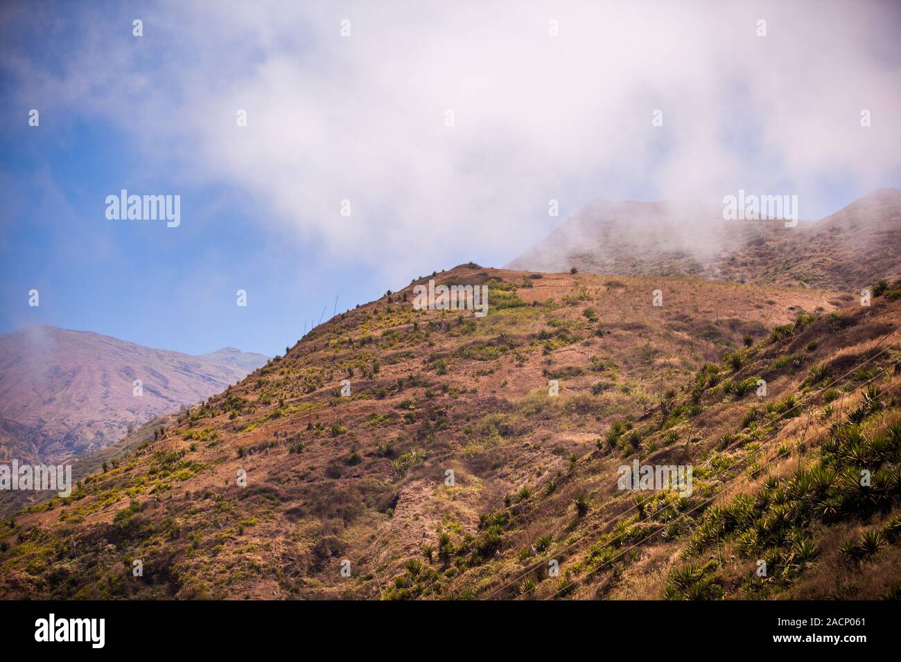 Side wavy hi-res stock photography and images - Alamy