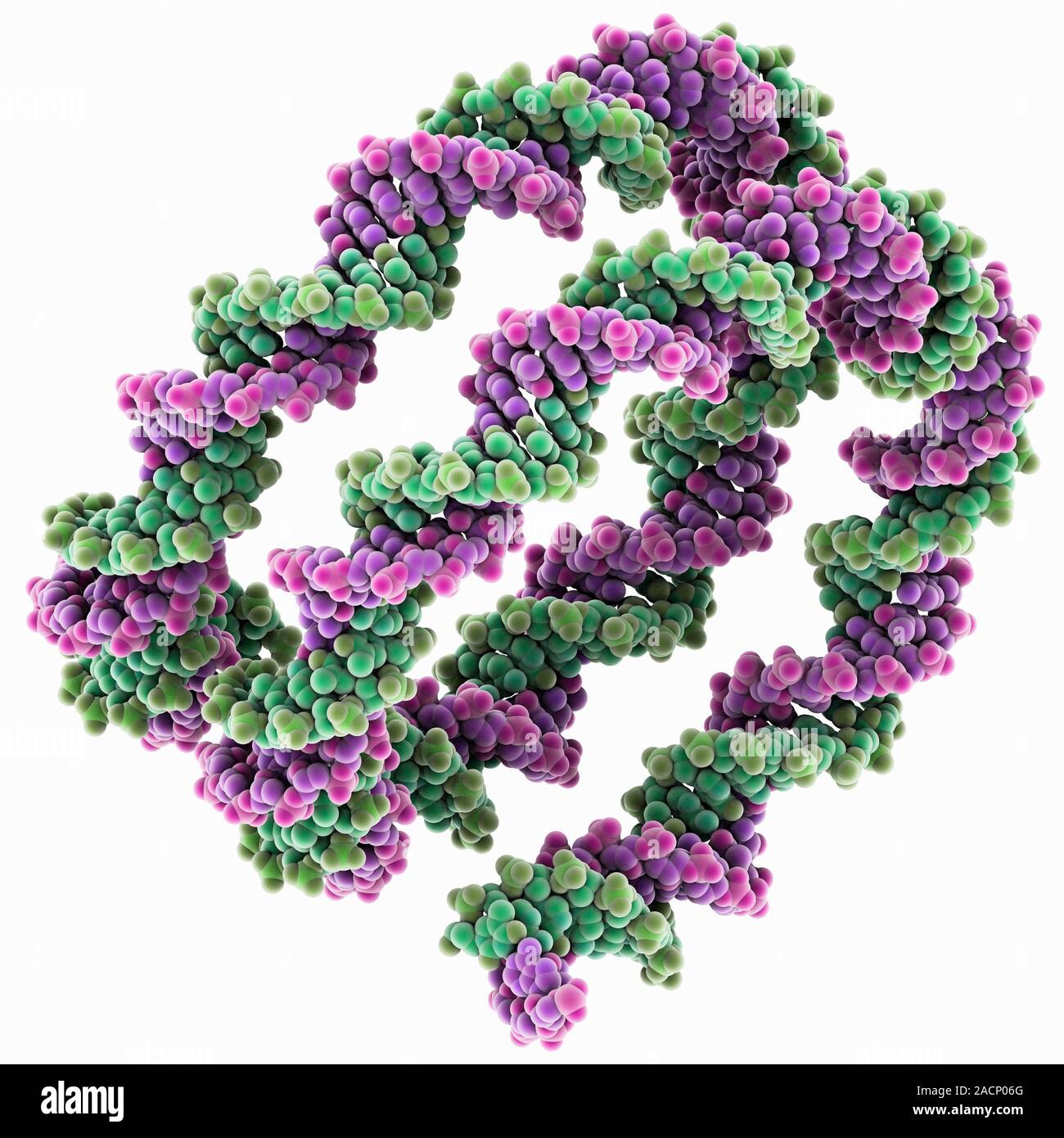Packaged Dna Molecule Computer Model Showing The Structure Of A Smoothly Bent Molecule Of Dna