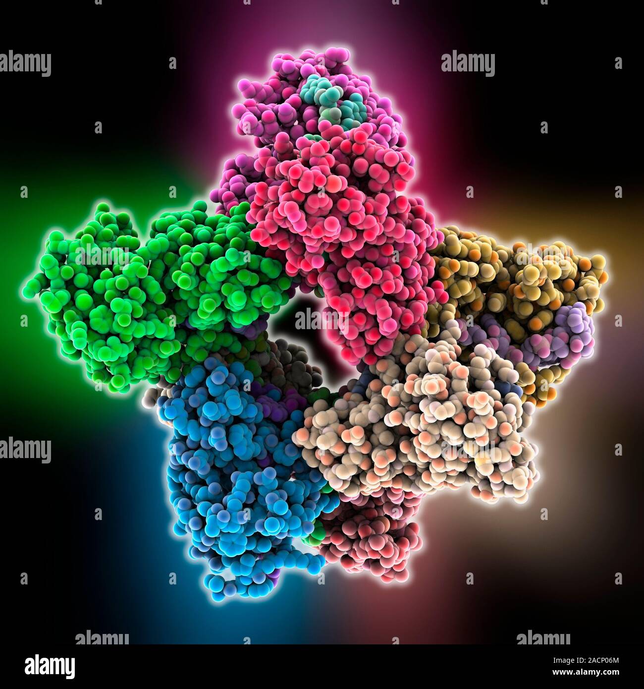 Polya Binding Protein Molecule Computer Model Showing The Structure Of A Polya Binding