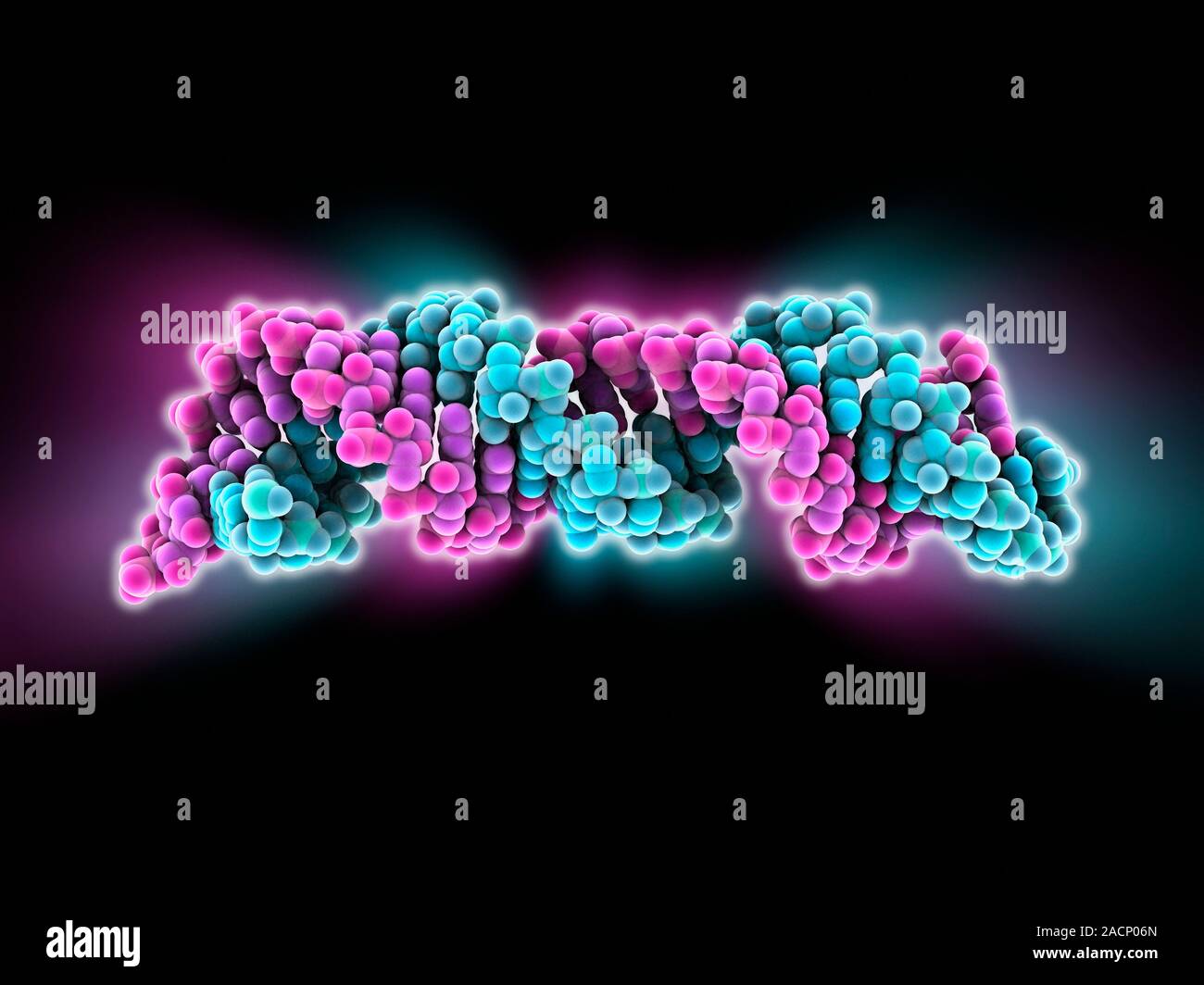 Signal Recognition Particle Rna Molecule Computer Model Showing The