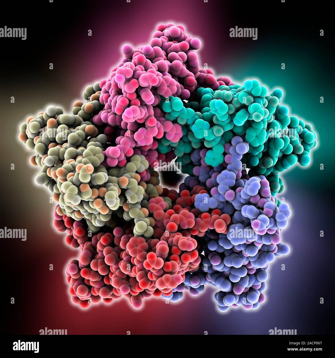 Lumazine synthase molecule. Computer model showing the structure of a ...