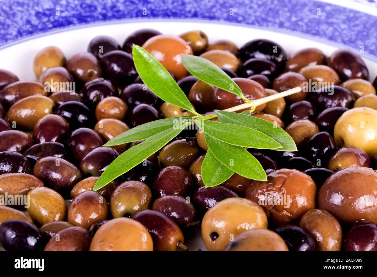 Portuguese black olives hi-res stock photography and images - Alamy