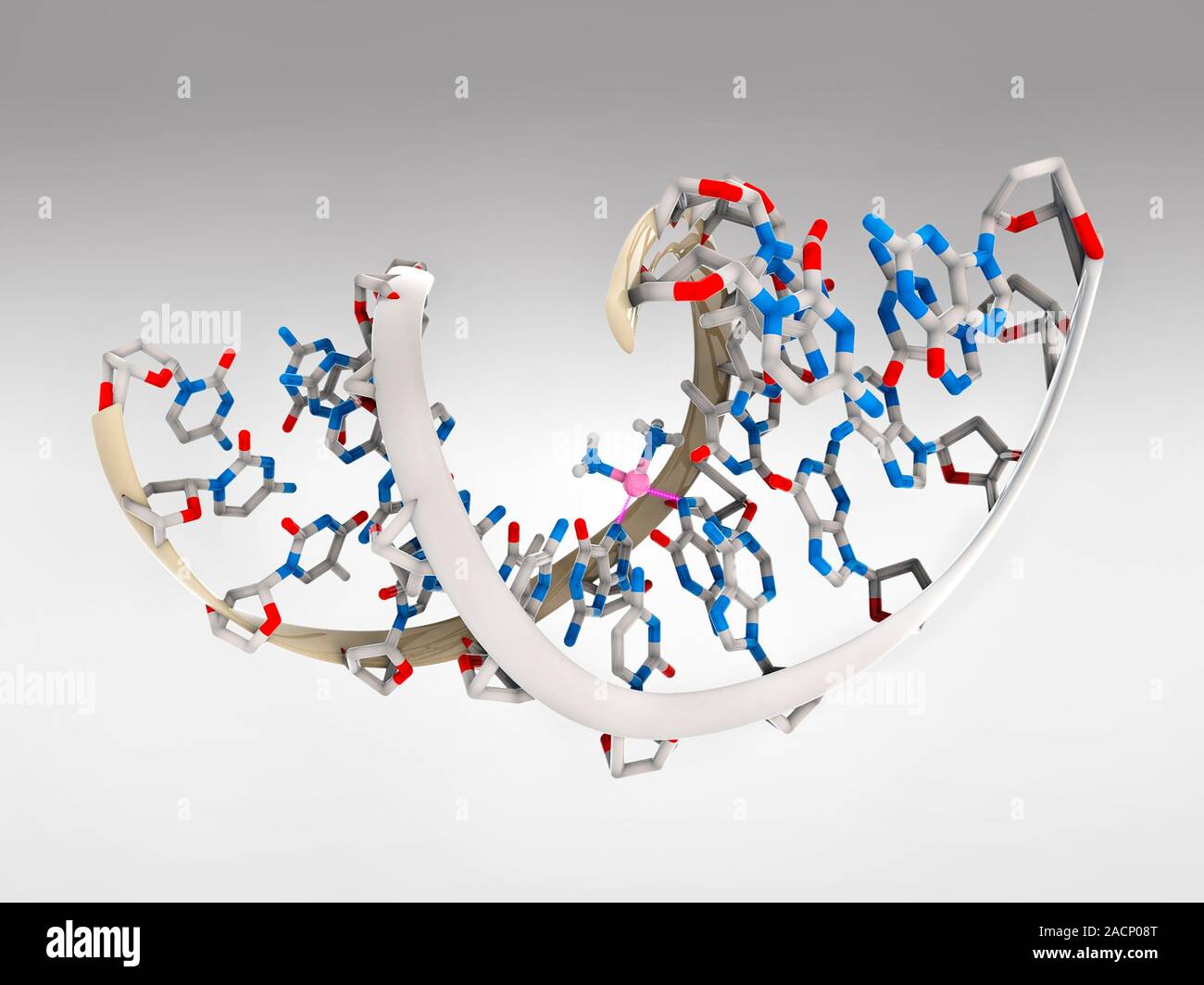Cisplatin drug interaction. Computer artwork showing the structure of a ...