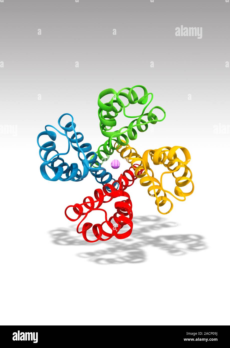Voltage-gated potassium channel. Computer model showing the molecular ...