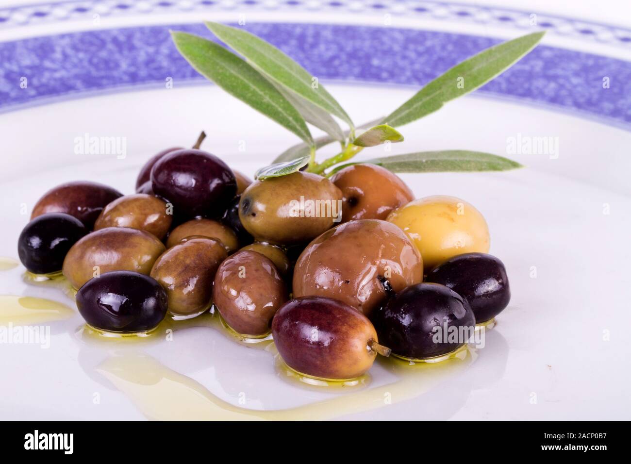 Portuguese black olives hi-res stock photography and images - Alamy