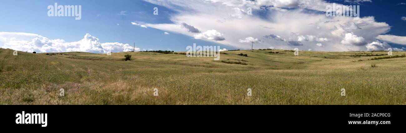 Dry Alentejo landscape Stock Photo - Alamy