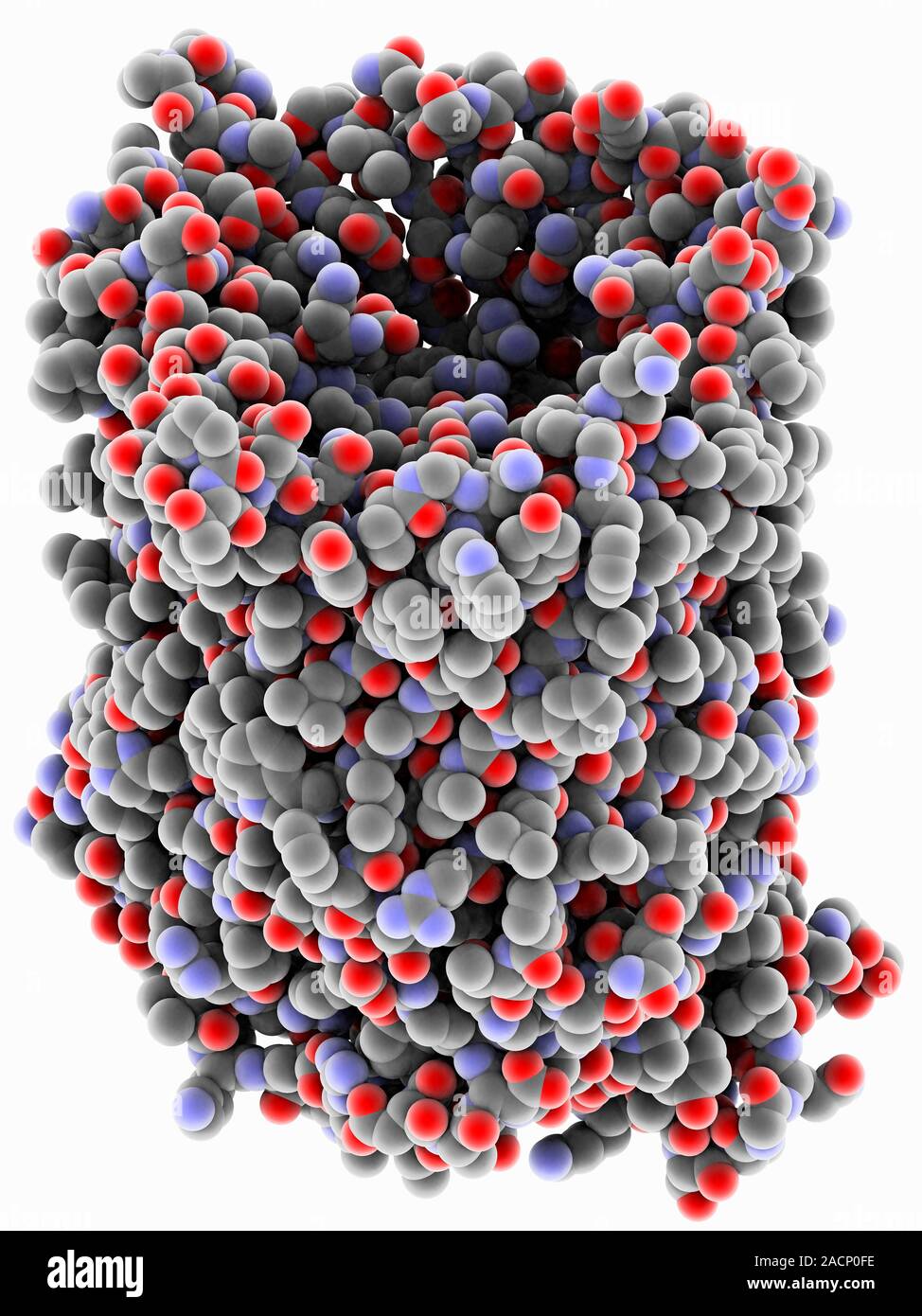 FecA transmembrane channel. Molecular model of the FecA membrane ...