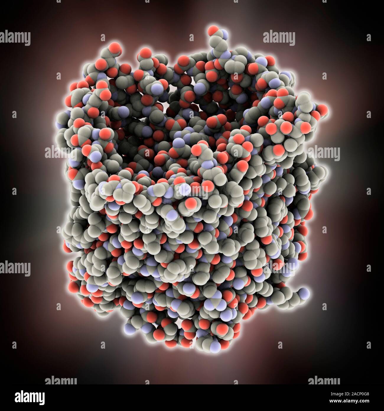 FecA transmembrane channel. Molecular model of the FecA membrane ...